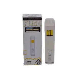 Push Disposable Vape